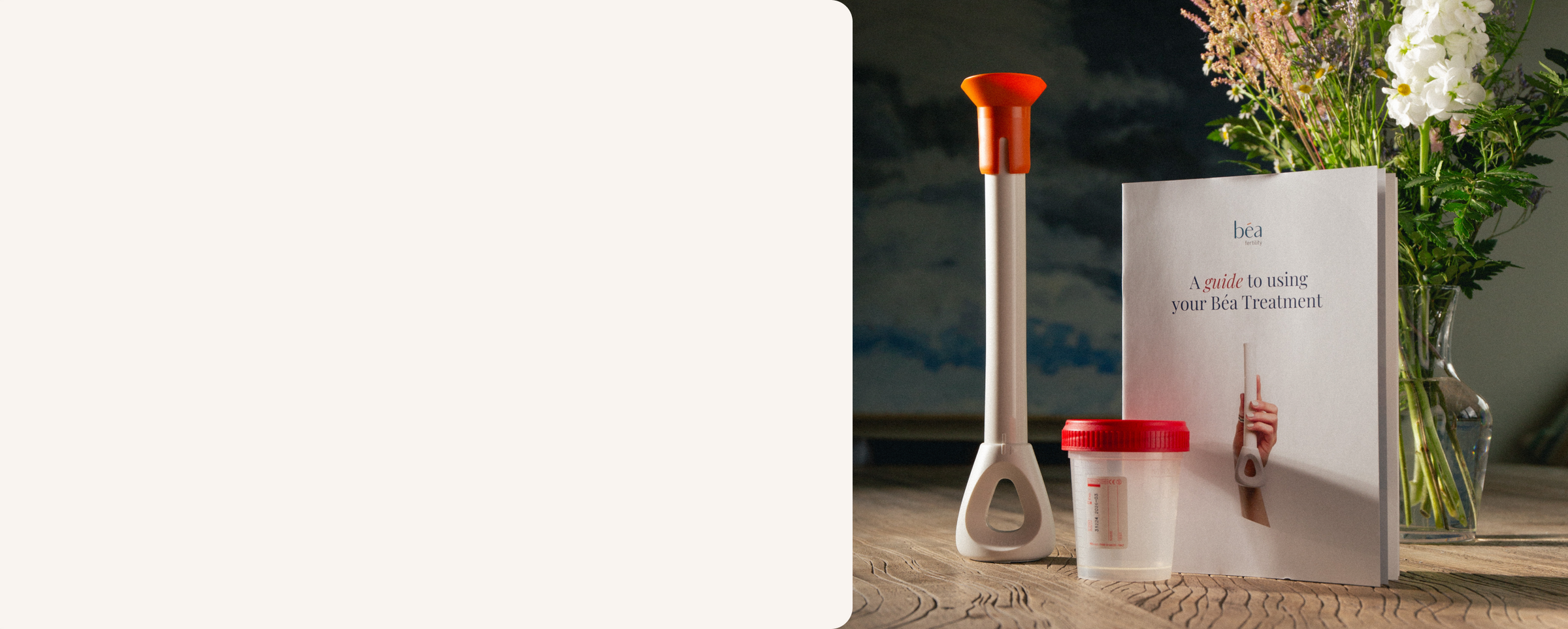 Béa: The Fertility Treatment Programme that helps you get pregnant ...